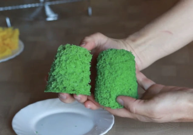 Sponge Moss for Decoration, in the Microwave — Boss Kitchen