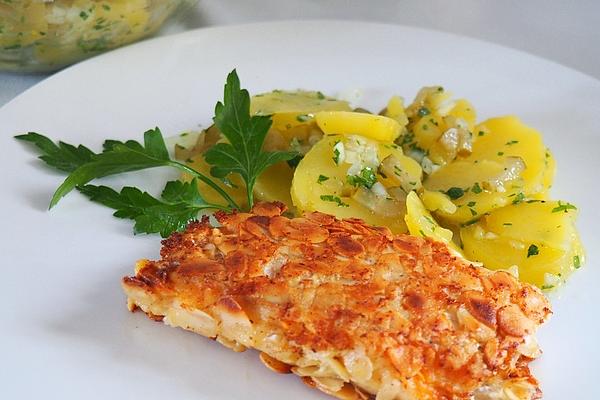 Breaded Redfish Fillets — Boss Kitchen